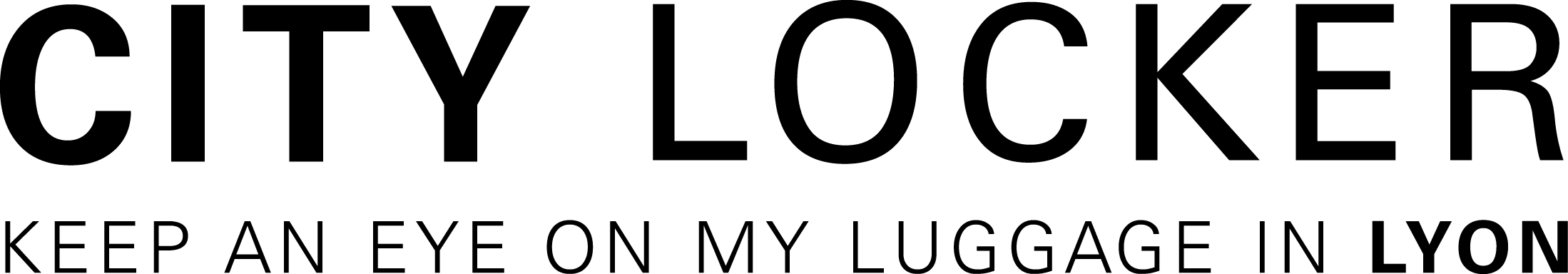 LUGGAGE LOCKERS - Lyon City Tour